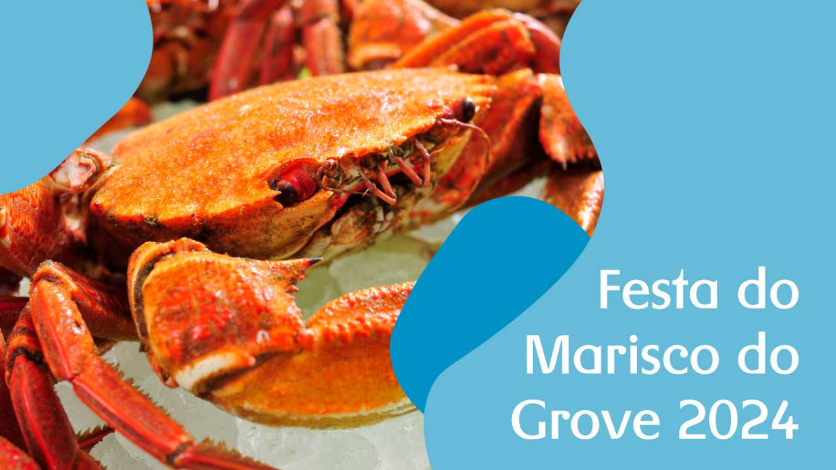 Festa do Marisco do Grove 2025: programa e concertos | Blog Mundo R